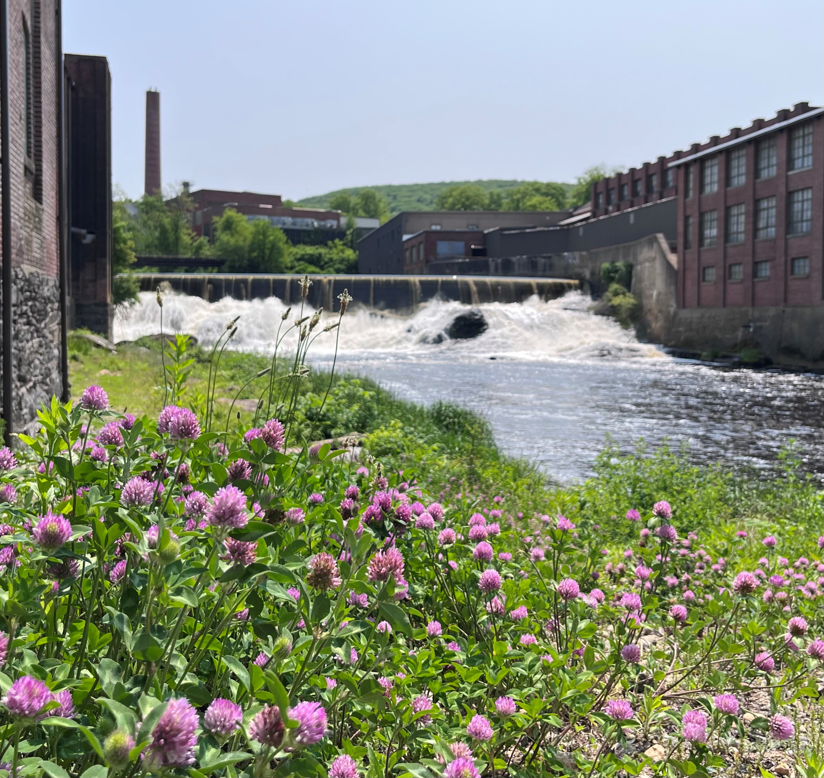 Brownfield Technical Assistance Resources | Mass.gov